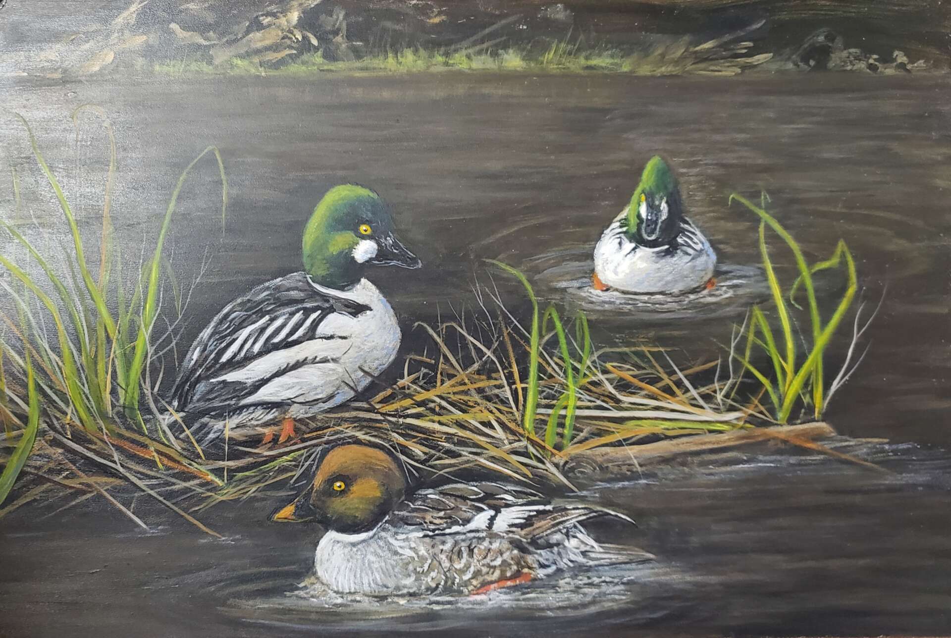 2021 Entries – Wildlife Habitat Canada