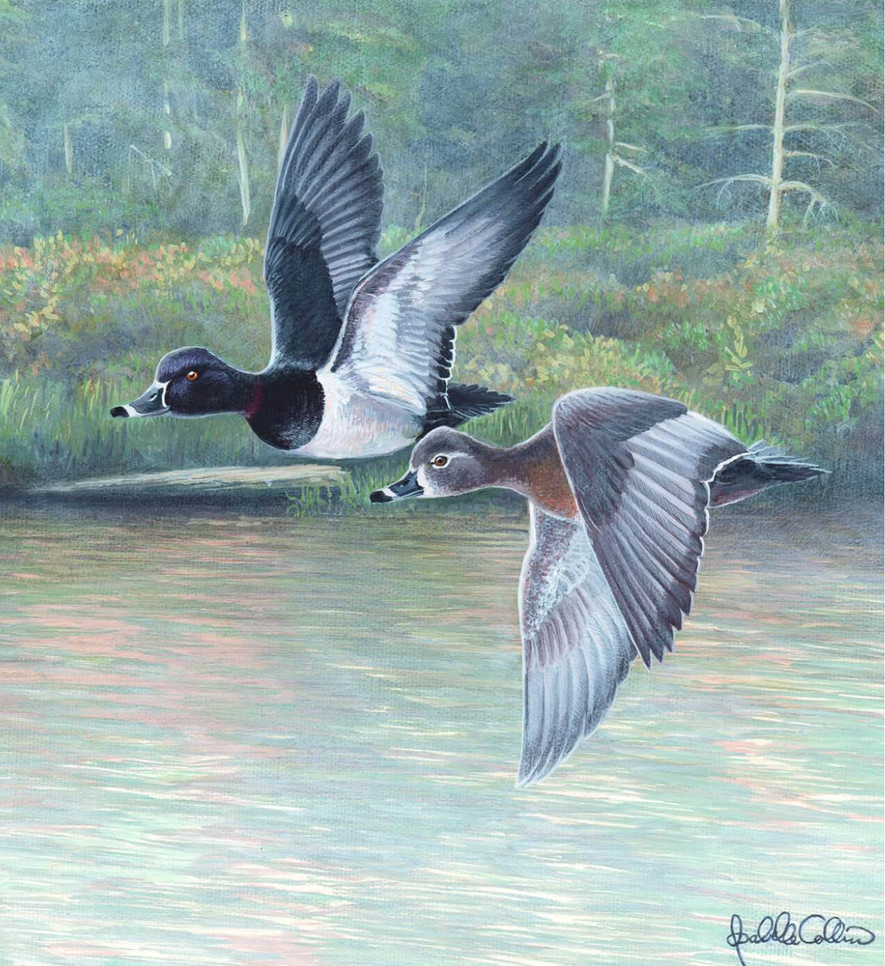 What we do – Wildlife Habitat Canada