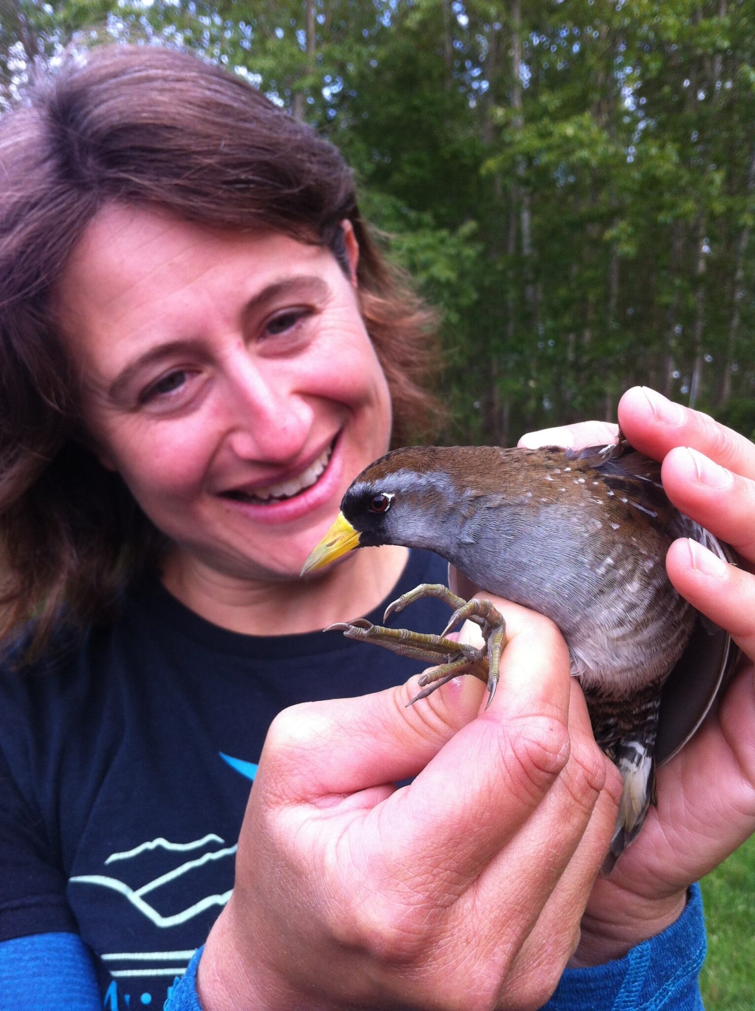 Who we are – Wildlife Habitat Canada