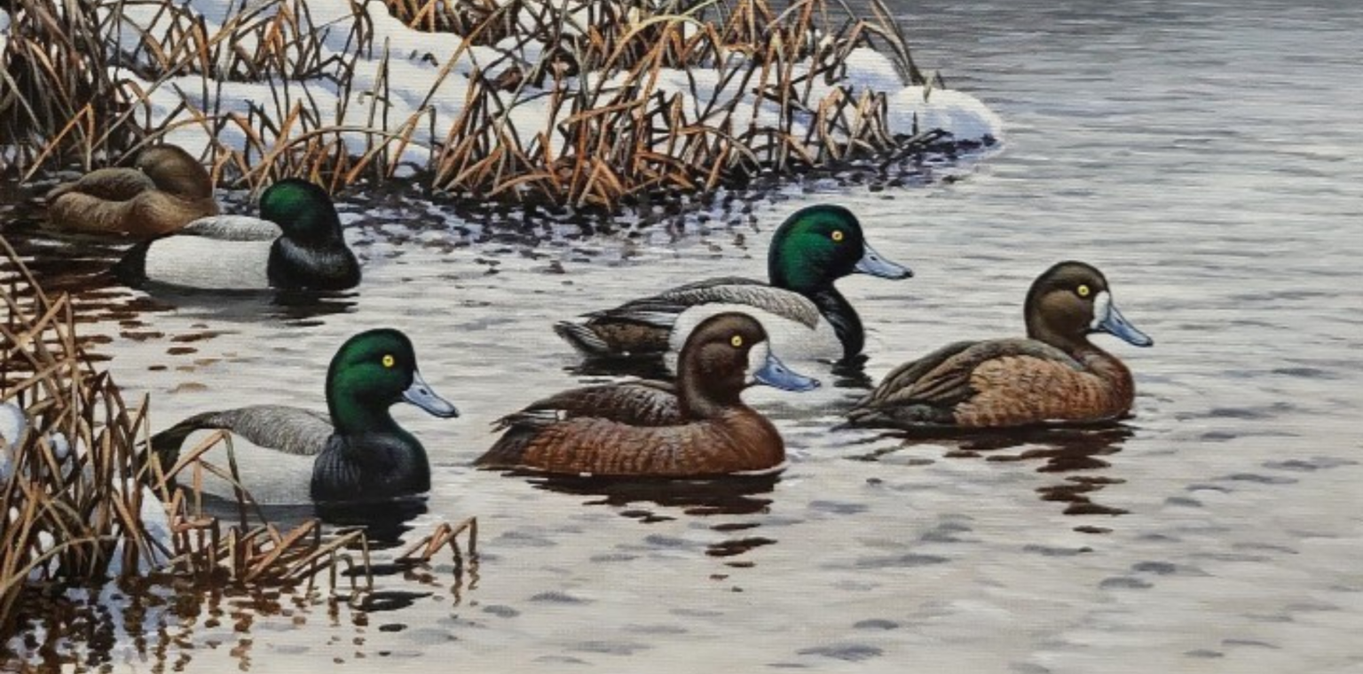 Art Competition – Wildlife Habitat Canada