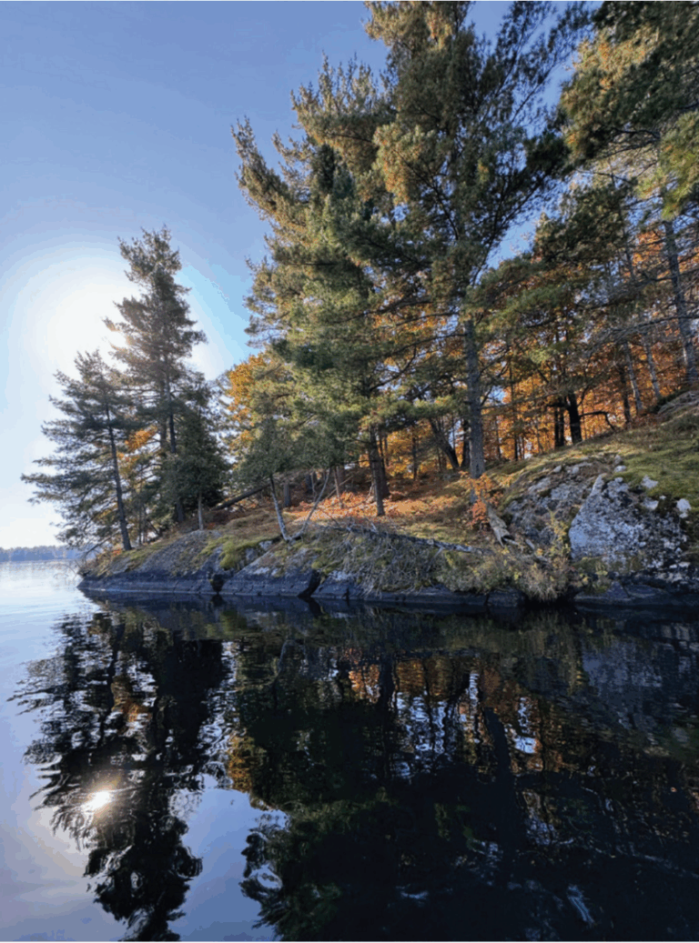 Large Grants Program – Wildlife Habitat Canada